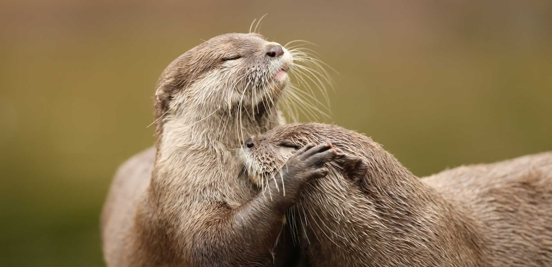 Celebrant based in Aberdeenshire, Scotland - Isabel Addison